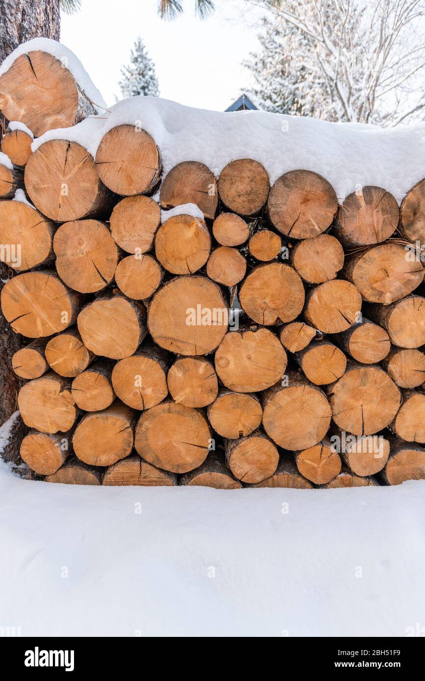 Stacked logs in snow Stock Photo - Alamy
