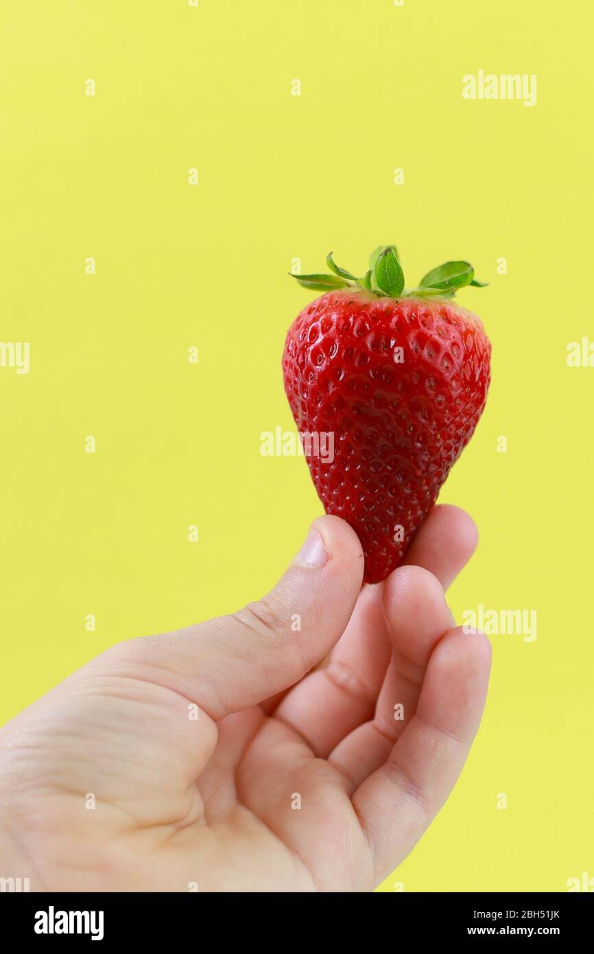 Hand holding a strawberry hi-res stock photography and images - Alamy