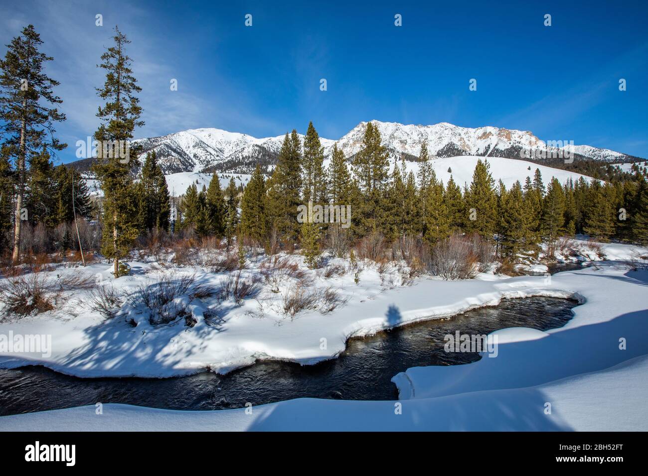 Trees and river in snow Stock Photo - Alamy