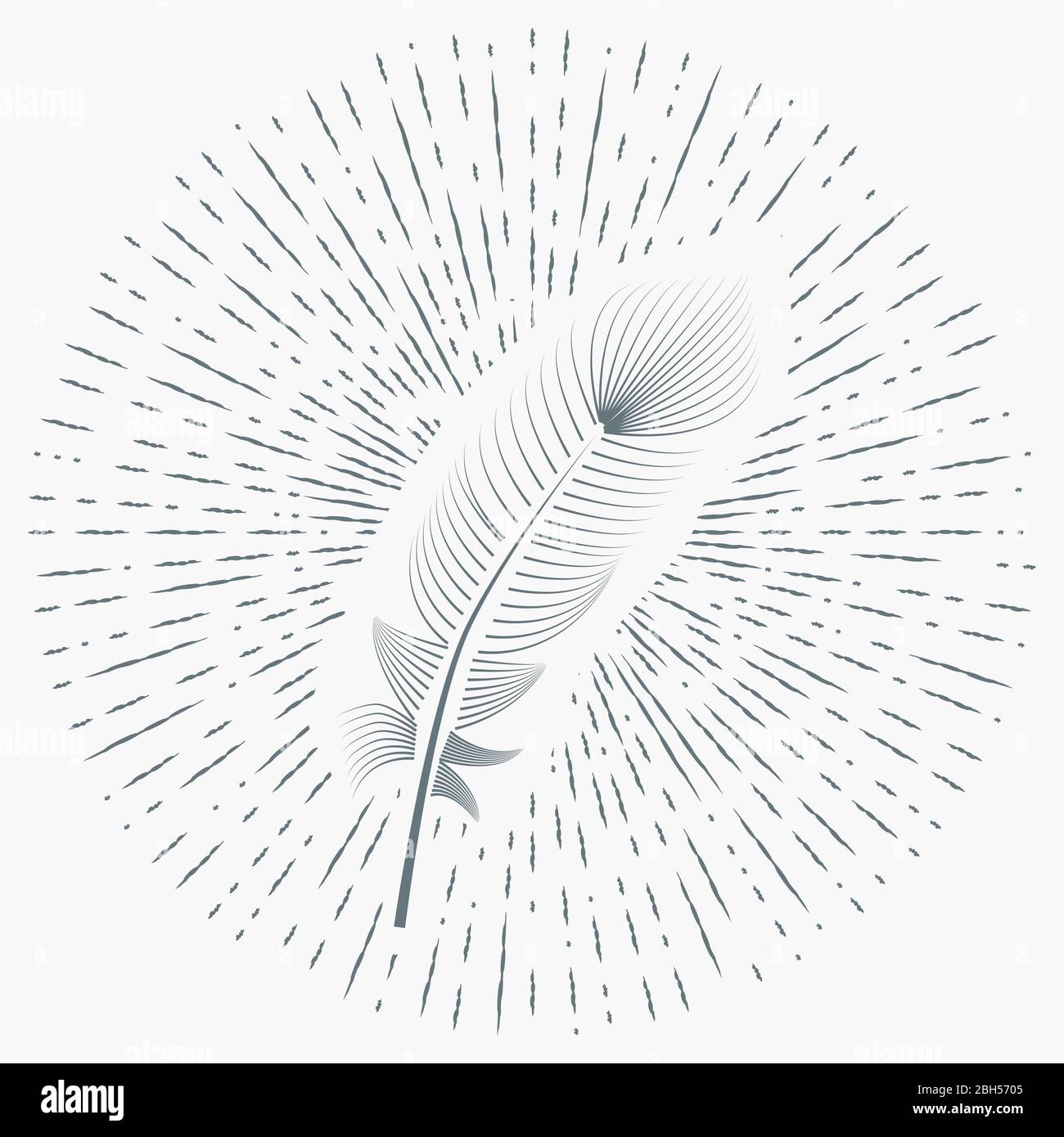 Feather rays Stock Vector Images - Alamy