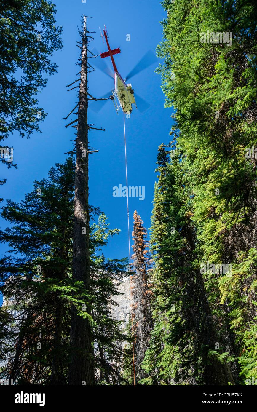 Rescue helicopter airlifting hiker, heart attack victim, from Yoho Pass ...