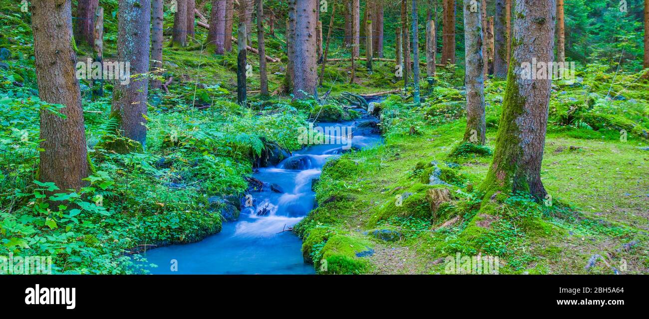 Fresh water from the mountain stream flows pure in the greenery and in ...
