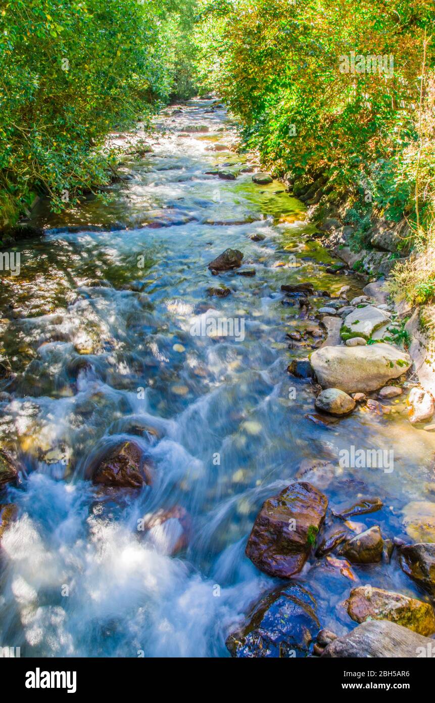 Fresh water from the mountain stream flows pure in the greenery and in ...