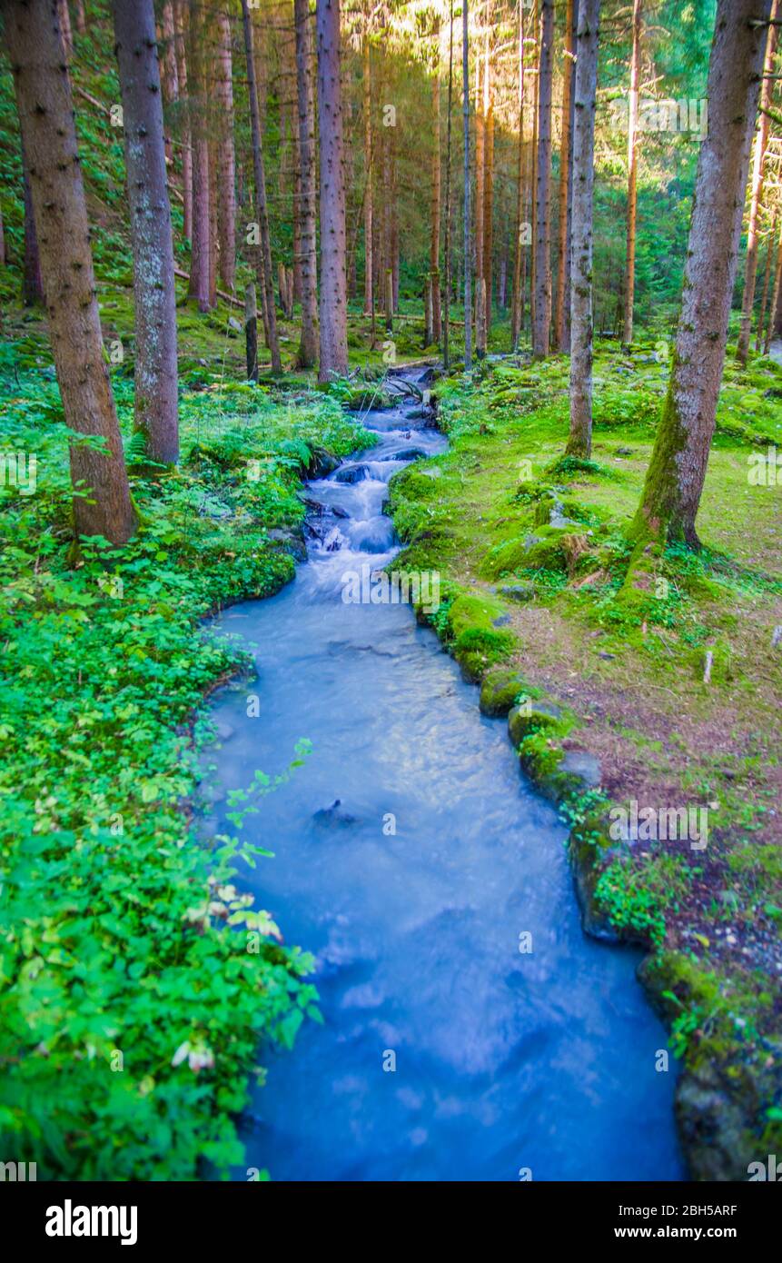 Fresh water from the mountain stream flows pure in the greenery and in ...