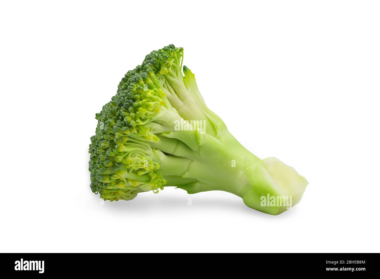 One piece fresh organic broccoli on white isolated background with ...