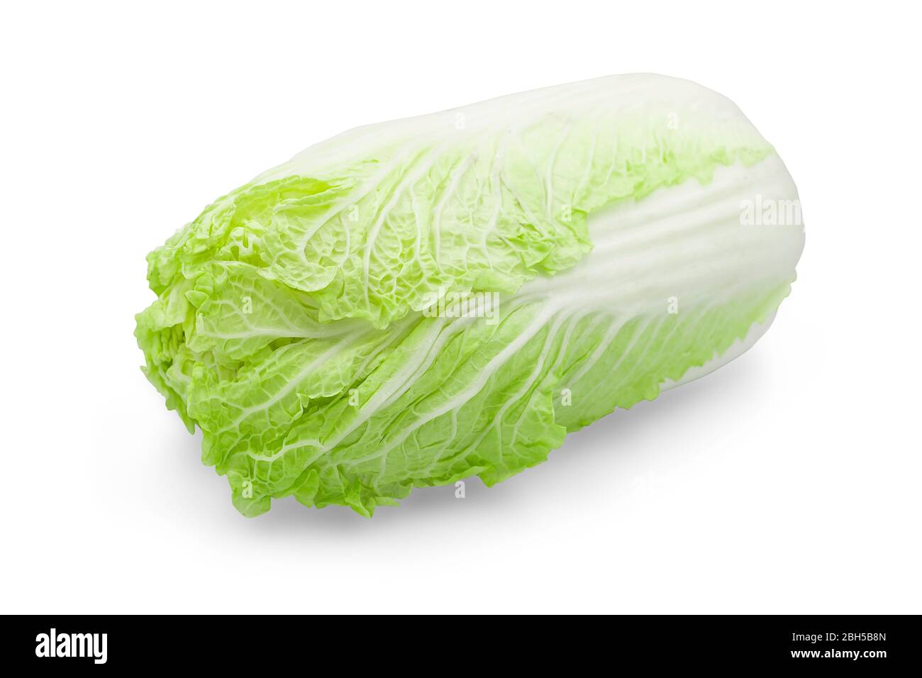 One head fresh organic chinese cabbage on white isolated background ...
