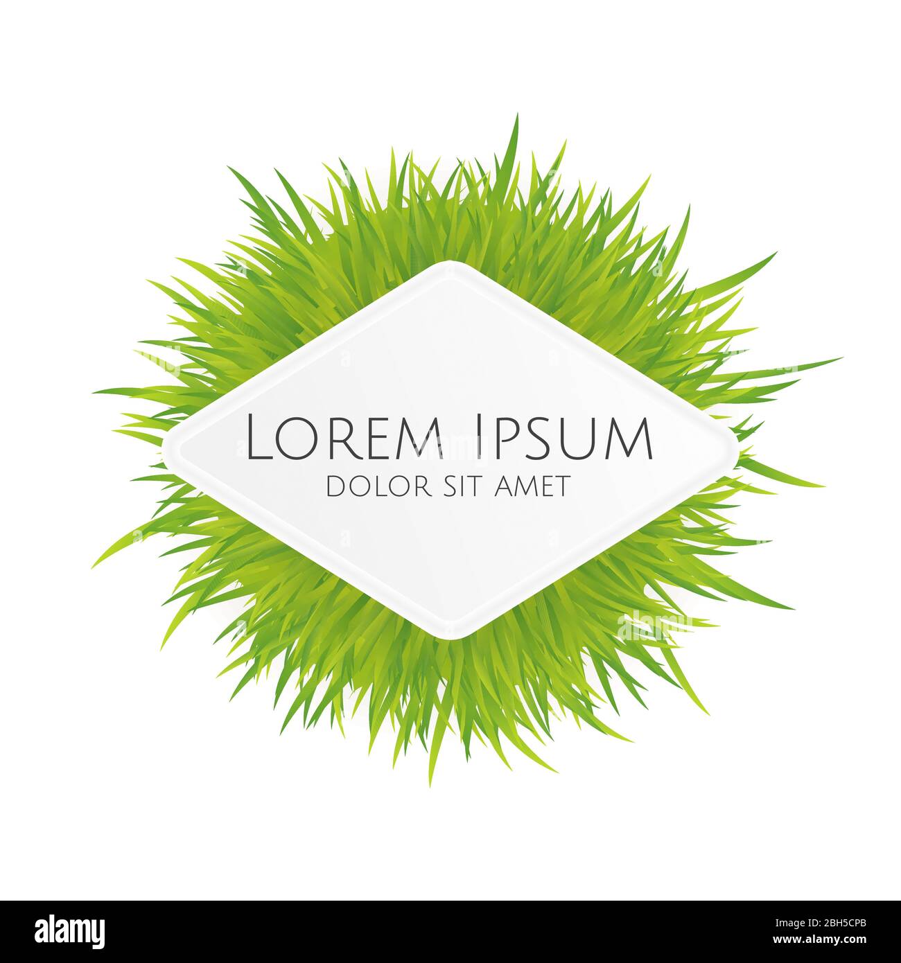 Green Bright Fresh Grass Round Frame for Design Banner Card Advertising ...