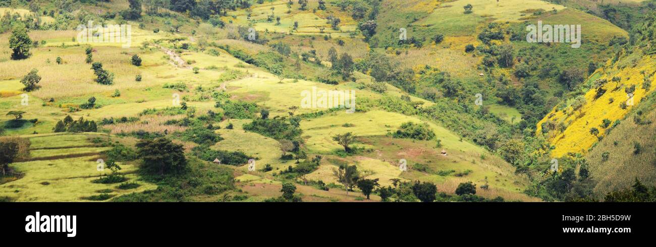 agricultural landscapes in Ethiopia's Oromia region Stock Photo - Alamy