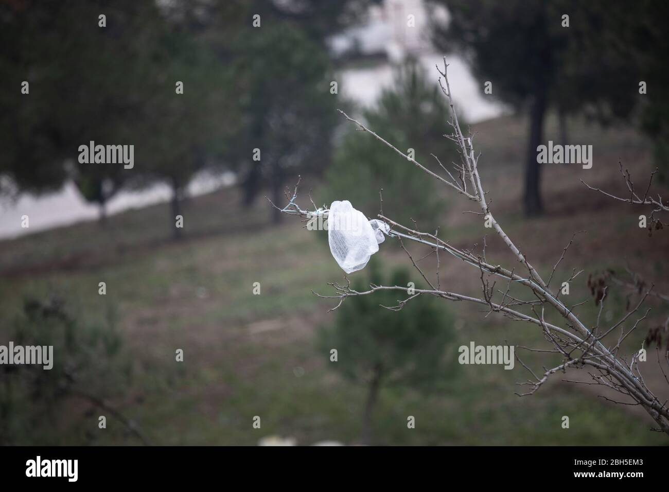 Sachet litter hi-res stock photography and images - Alamy