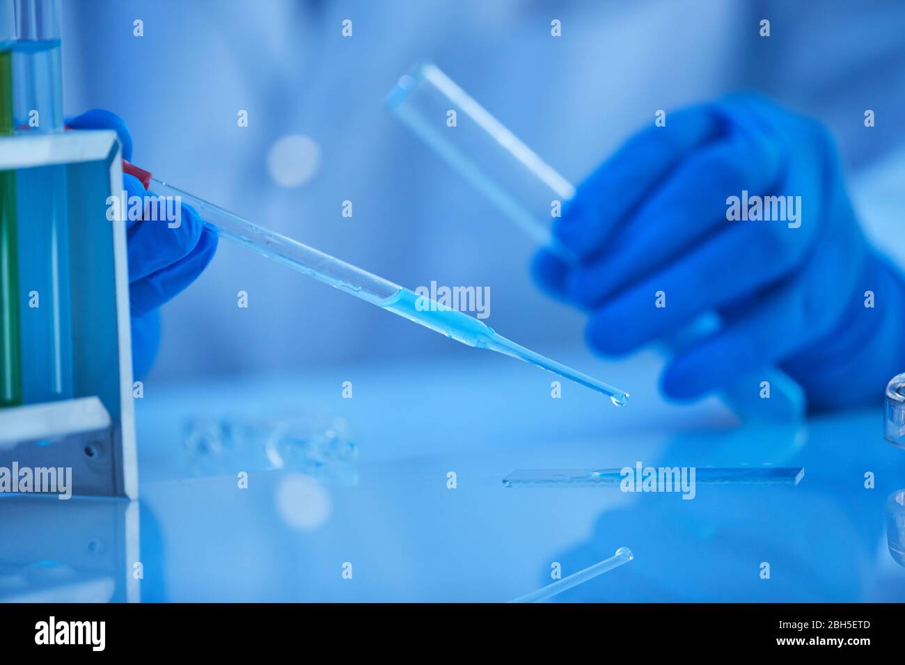 Close-up of scientist in protective gloves holding pipette with blue ...