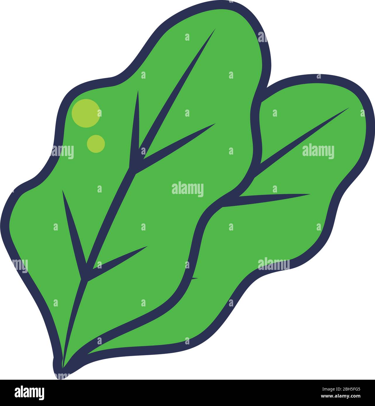 fruits and vegetables concept, spinach leaves icon over white ...