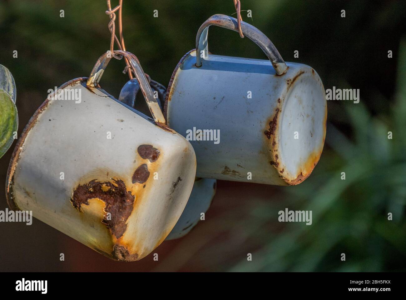 Two weathered old rusted tin mugs hang outside in the late afternoon ...