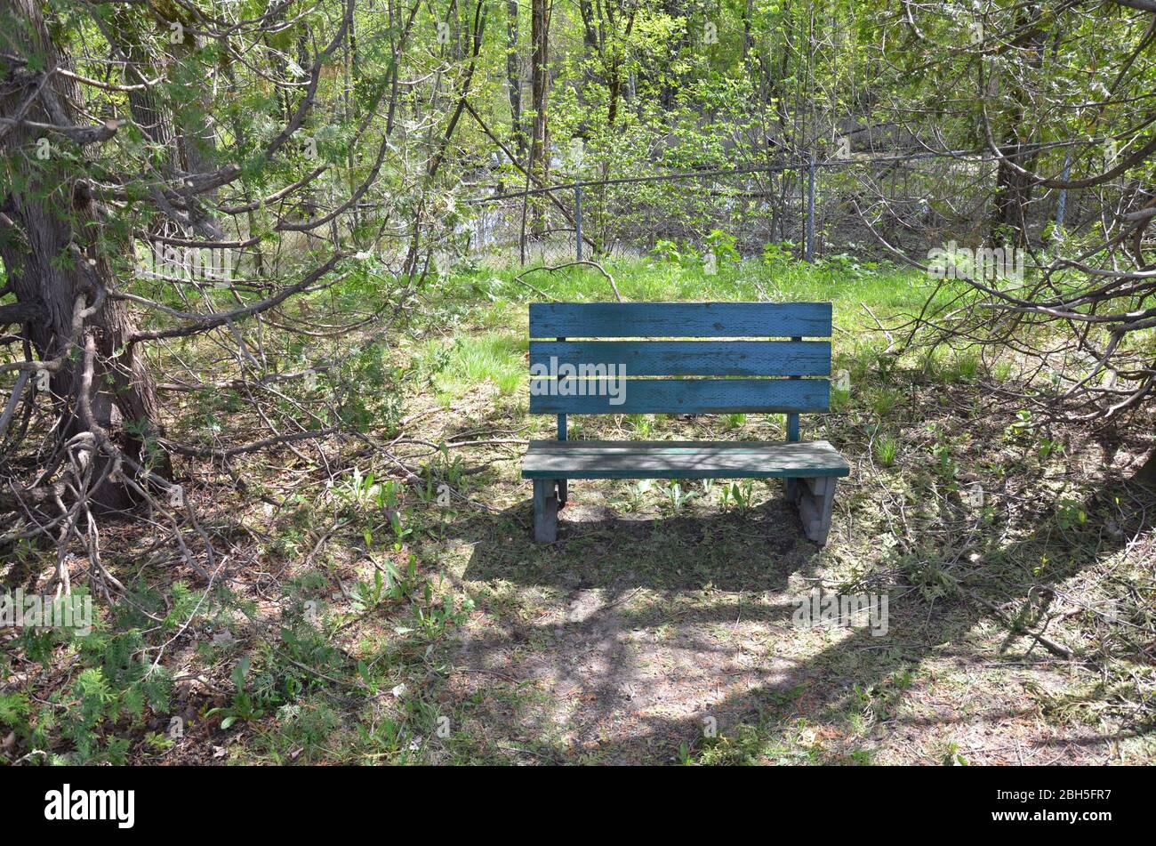 wood bench with trees and metal fence in forest or woods Stock Photo ...