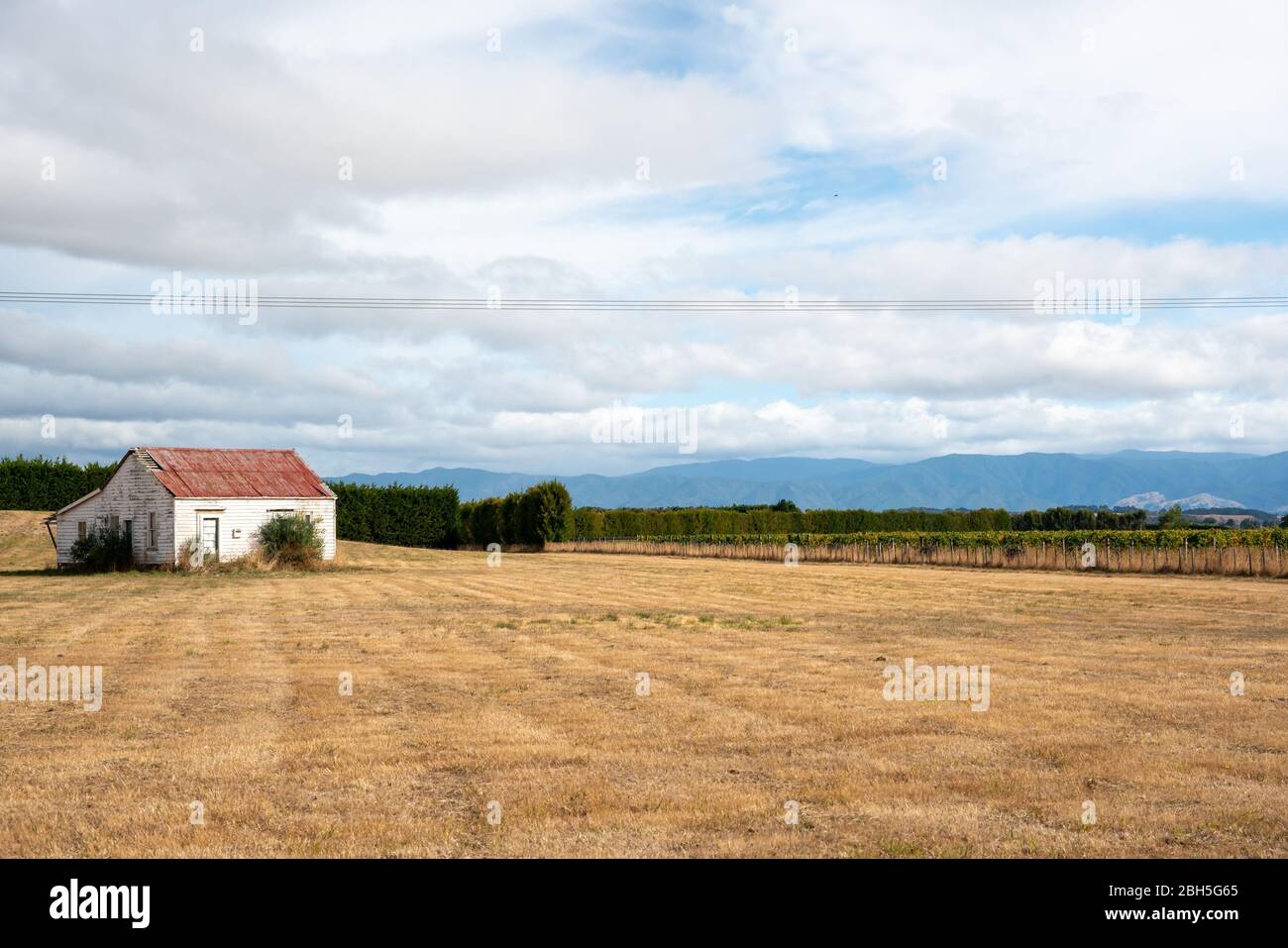 Dilapidated old wooden barn in the paddock on a rural farm in the ...