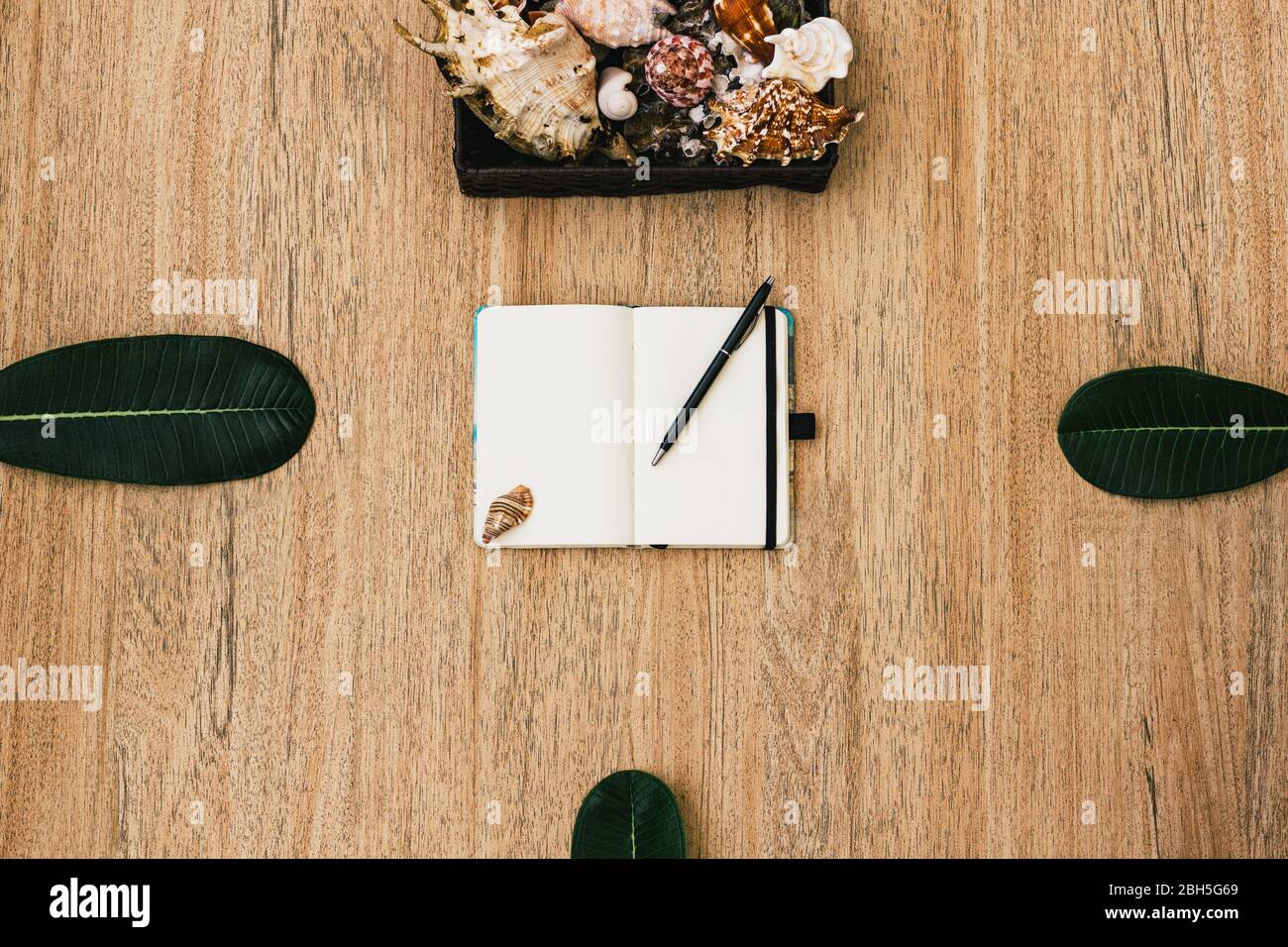 Flat lay, top view of an open white notebook with pen for writing cases ...