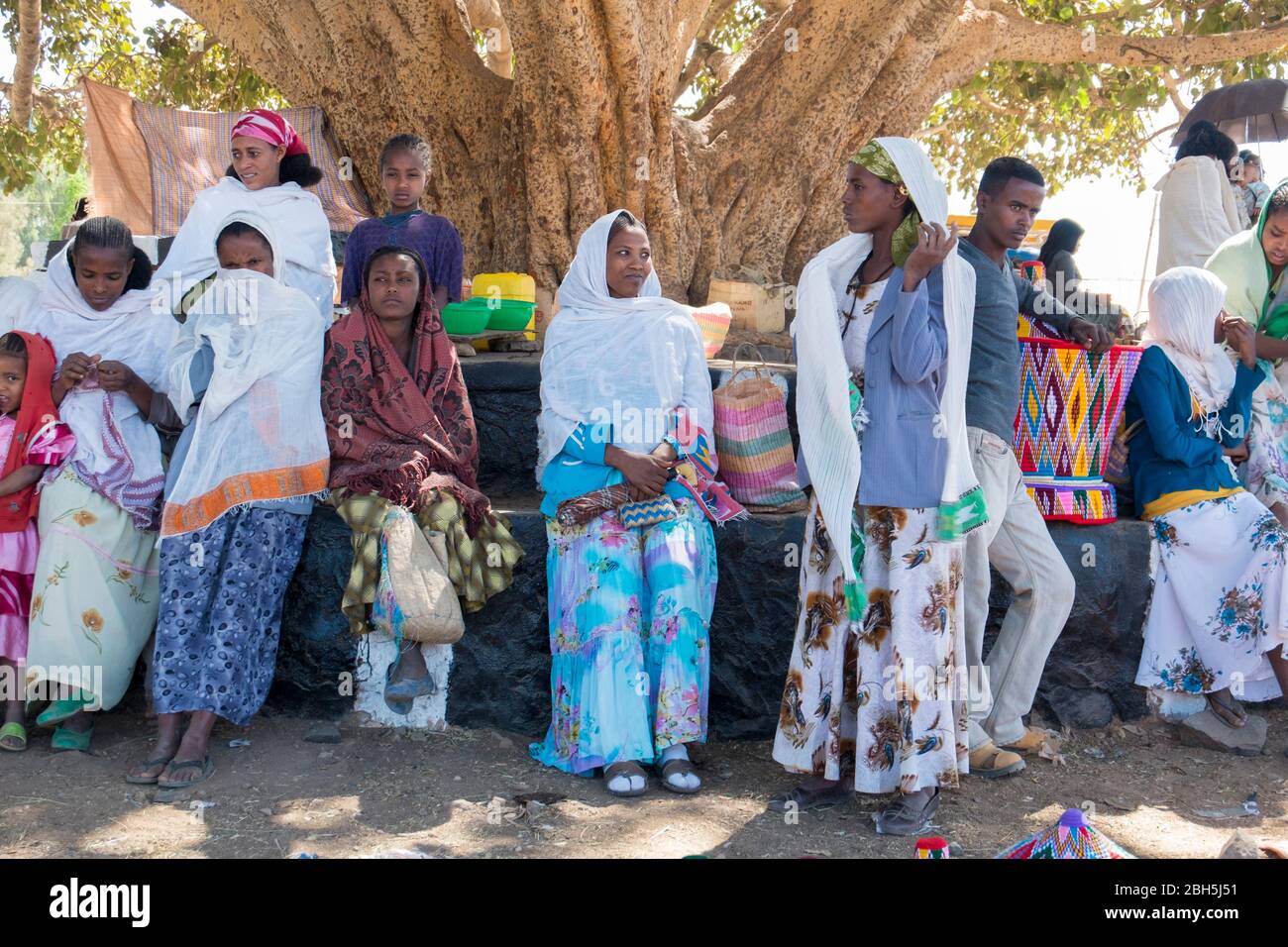 Group people sitting under tree hi-res stock photography and images - Alamy