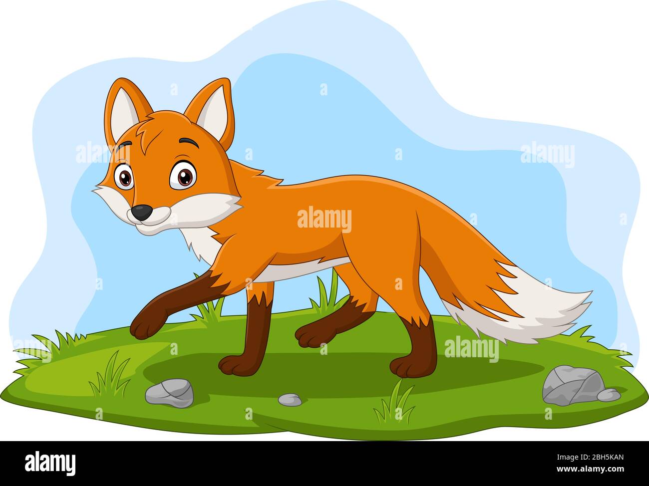 Young coyote walking Stock Vector Images - Alamy