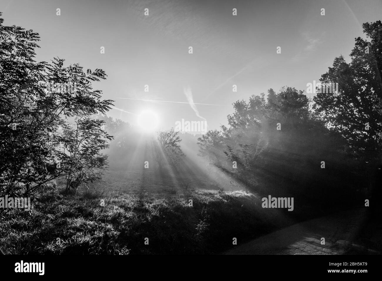 Sunlight through mist Black and White Stock Photos & Images - Alamy