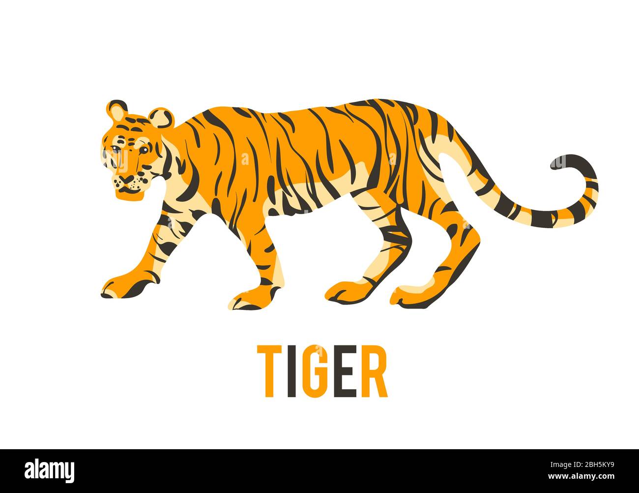Red tiger. Vector isolated animal Stock Vector Image & Art - Alamy