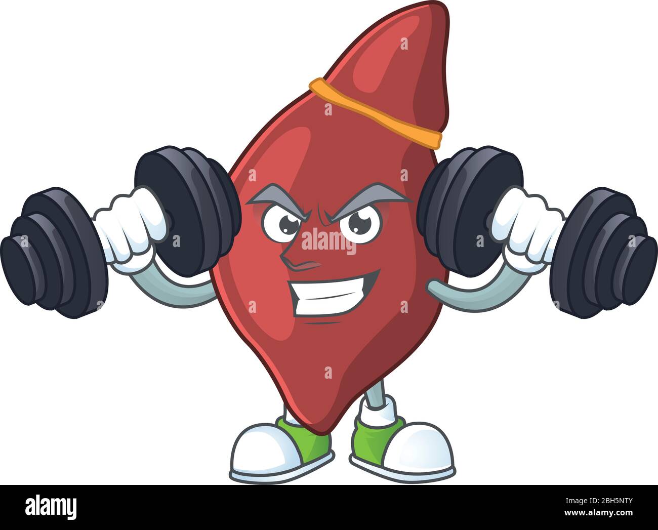 Fitness exercise liver cartoon character using barbells Stock Vector ...