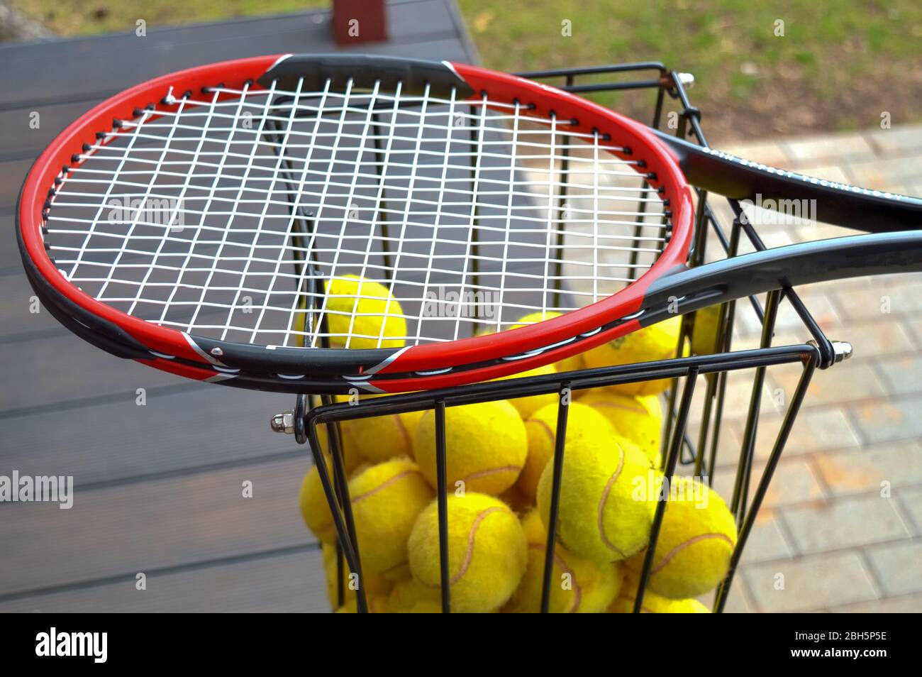 tennis racket with many yellow colored balls in basket ready for ...