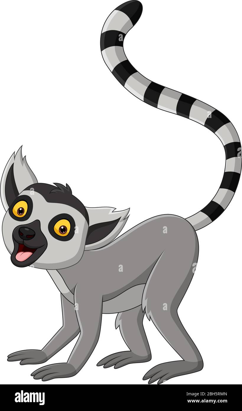 Cartoon cute lemur on white background Stock Vector Image & Art - Alamy