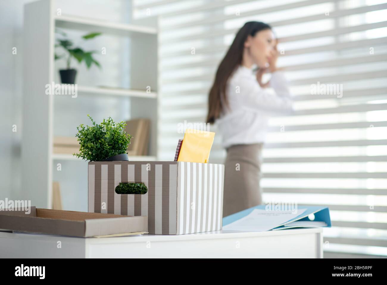 At work. Young brunette female standing at the window, her box with ...