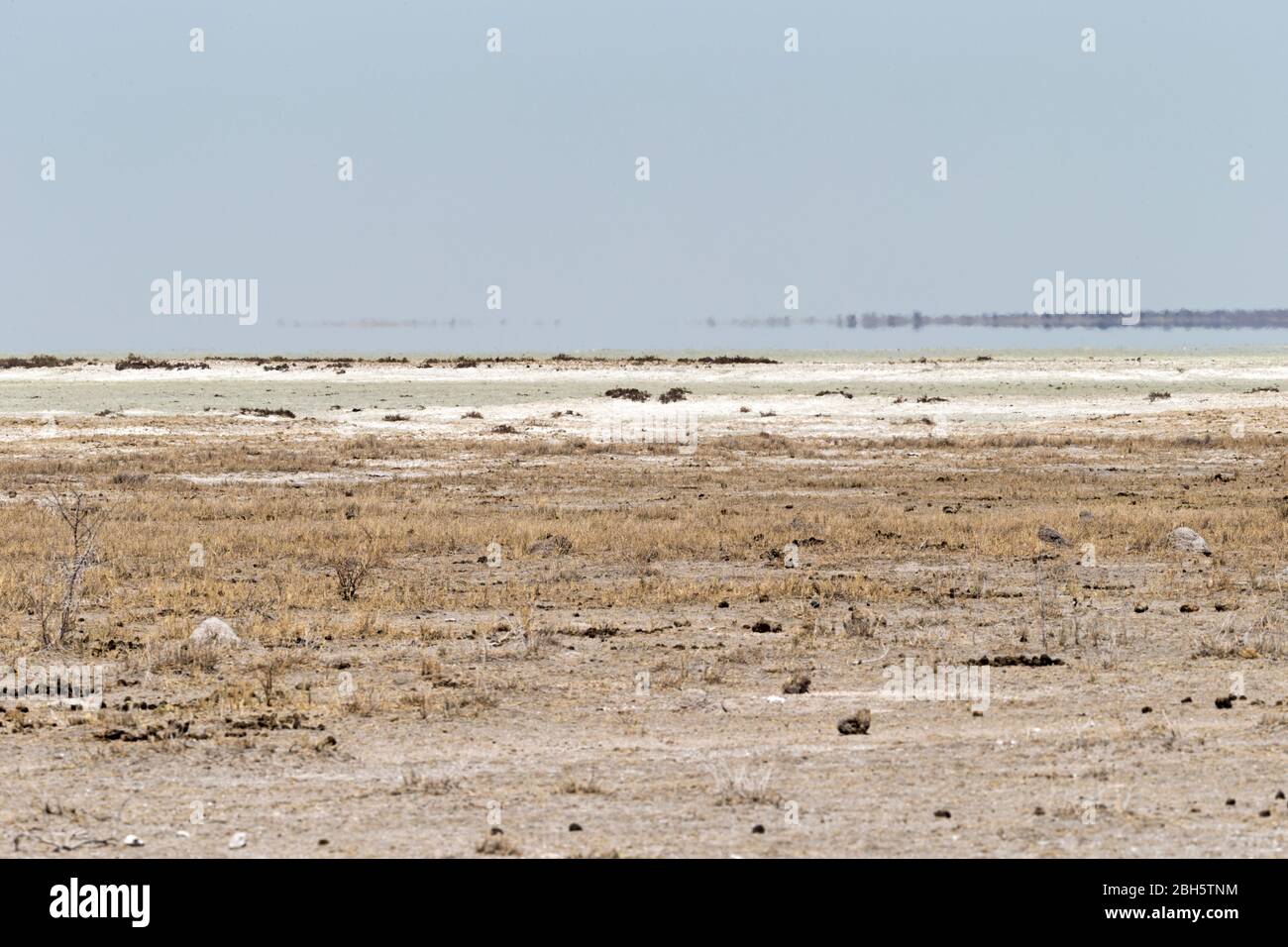 Salt Pan Landscape, Etosha National Park, Namibia, Africa Stock Photo ...