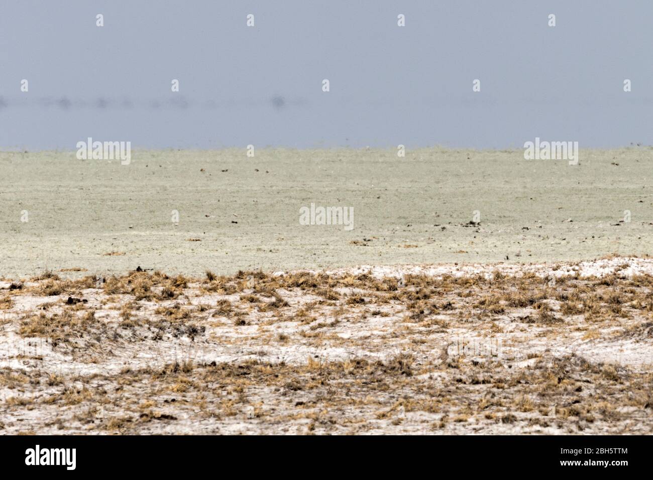 Stark barren landscape hi-res stock photography and images - Alamy