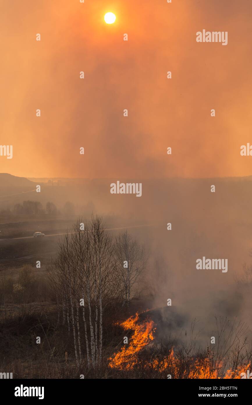 Forest fire burning, Wildfire close up at day time Stock Photo - Alamy