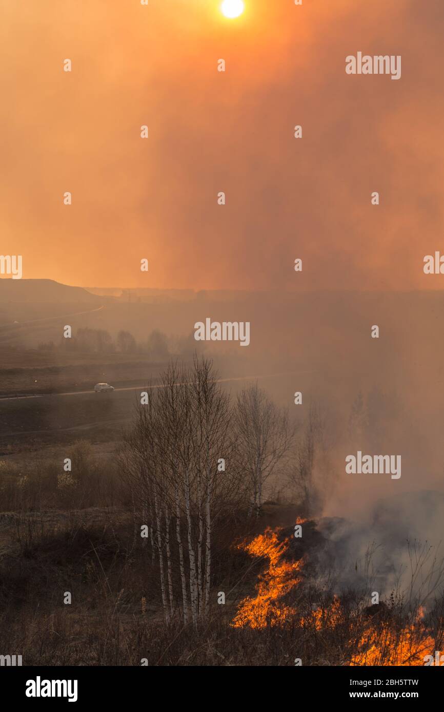 Forest fire burning, Wildfire close up at day time Stock Photo - Alamy