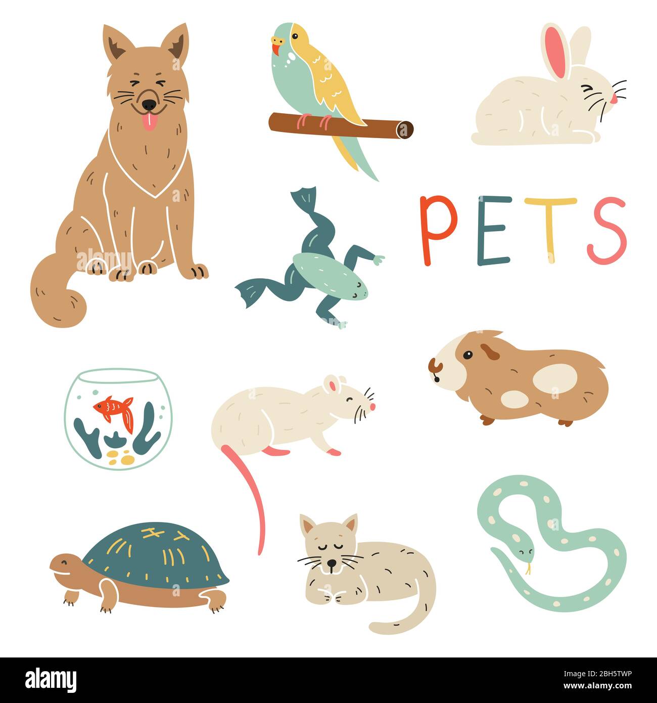 Pets character set for pet shop. Vector illustration Stock Vector Image ...