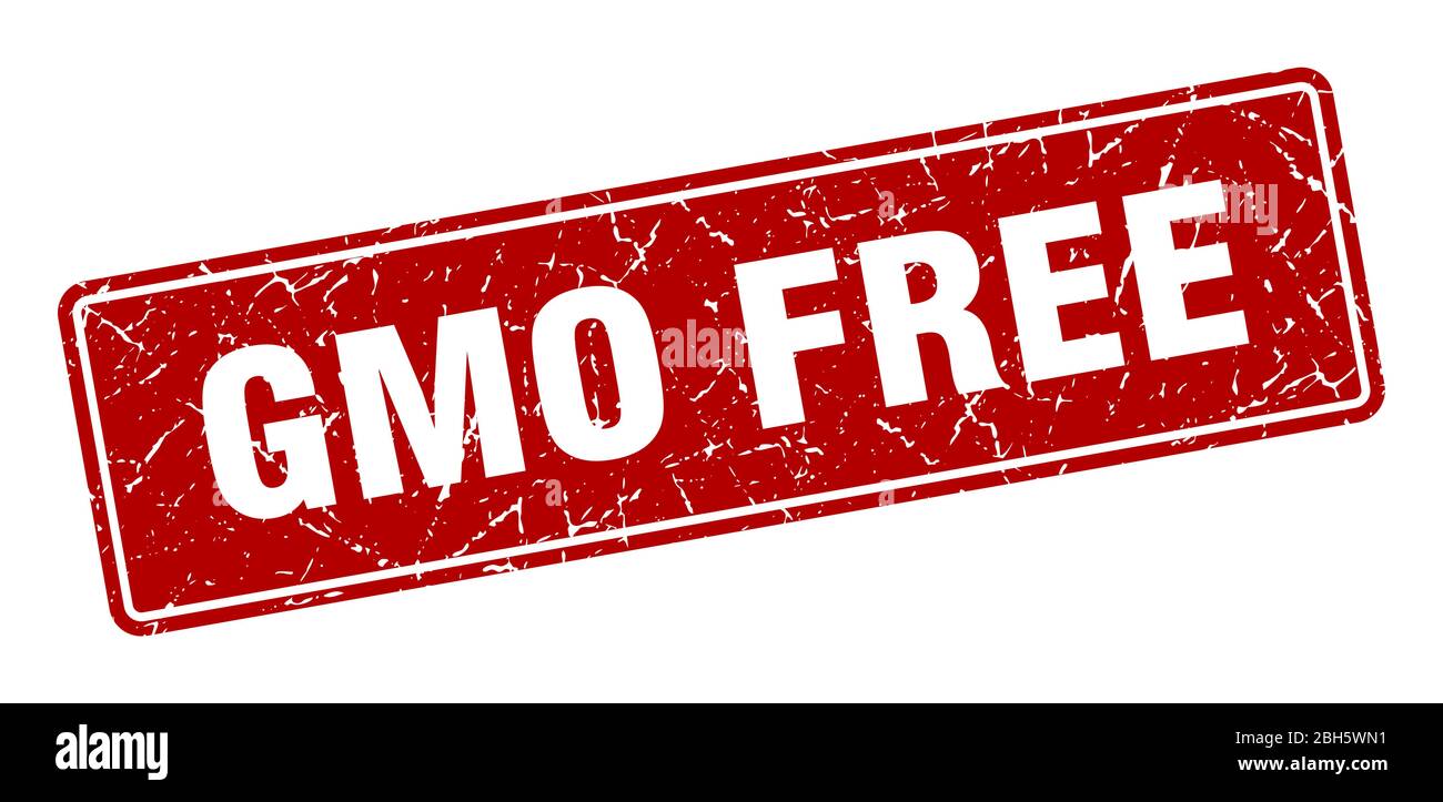 gmo free stamp. gmo free vintage red label. Sign Stock Vector Image ...