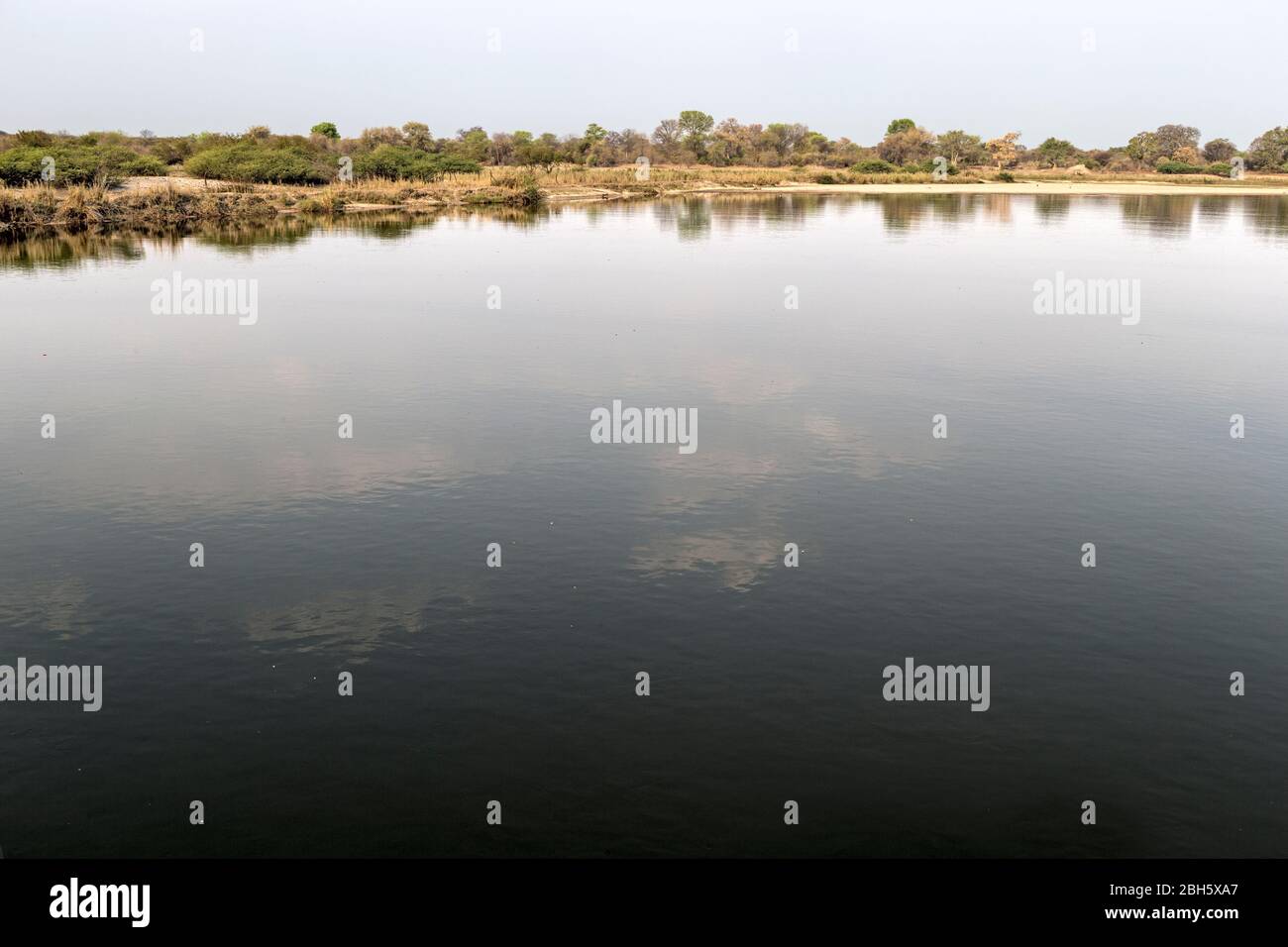 Landscape, Okovango River, Caprivi Strip, Namibia, Africa Stock Photo ...