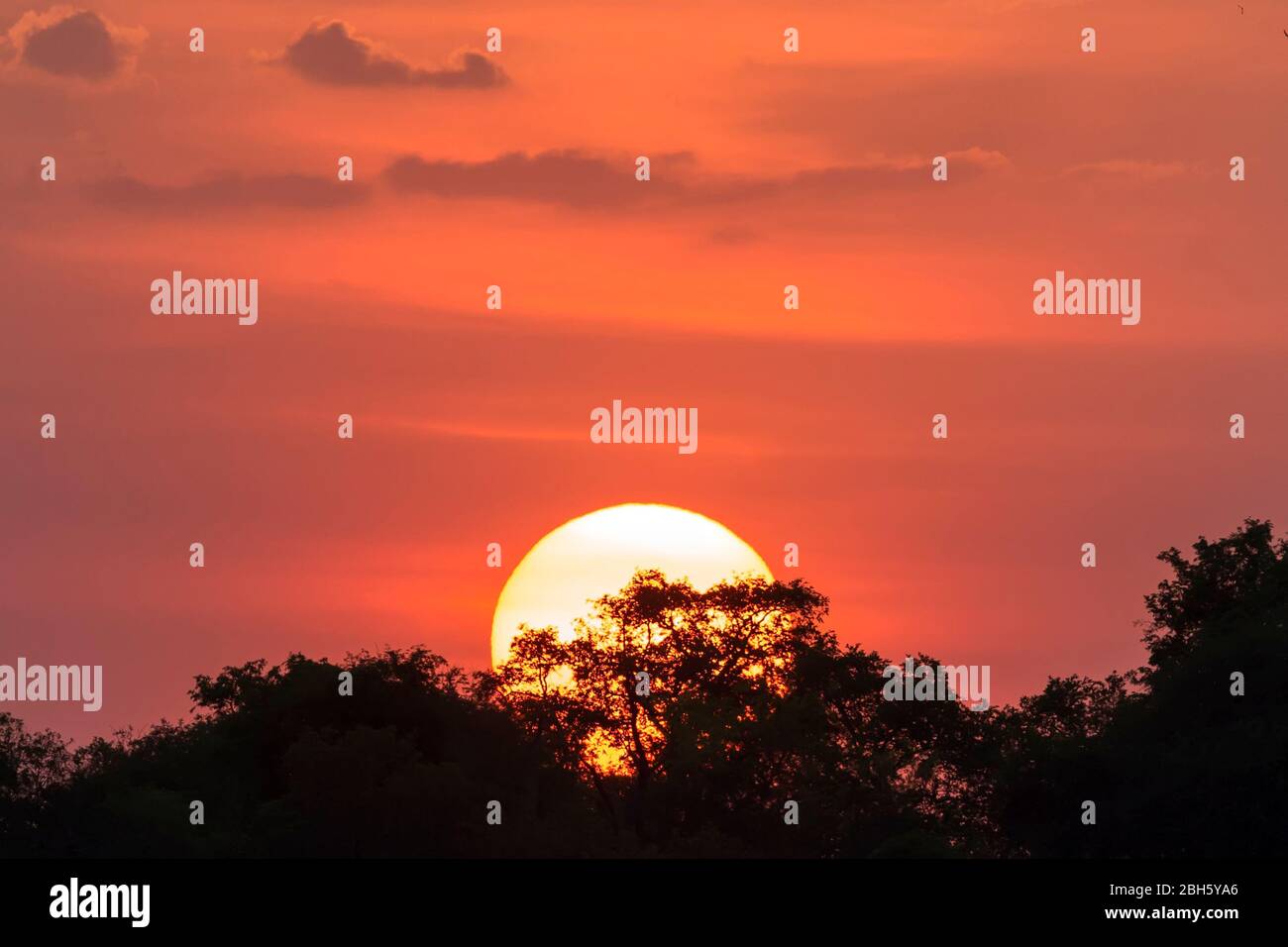 Zambia landscape hi-res stock photography and images - Alamy