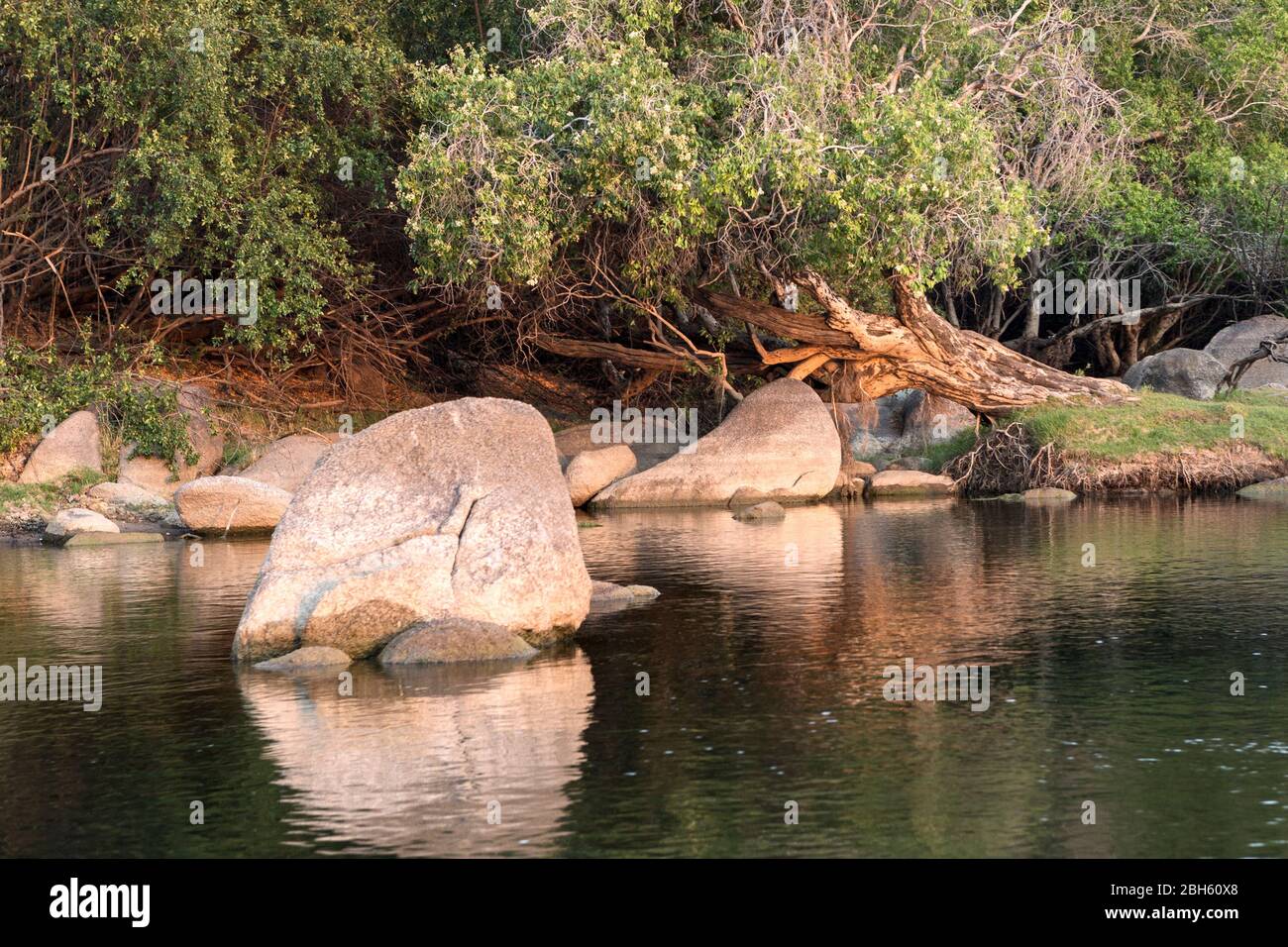 Landscape, dawn, Kafue River, Kafue National Park, Zambia, Africa Stock ...
