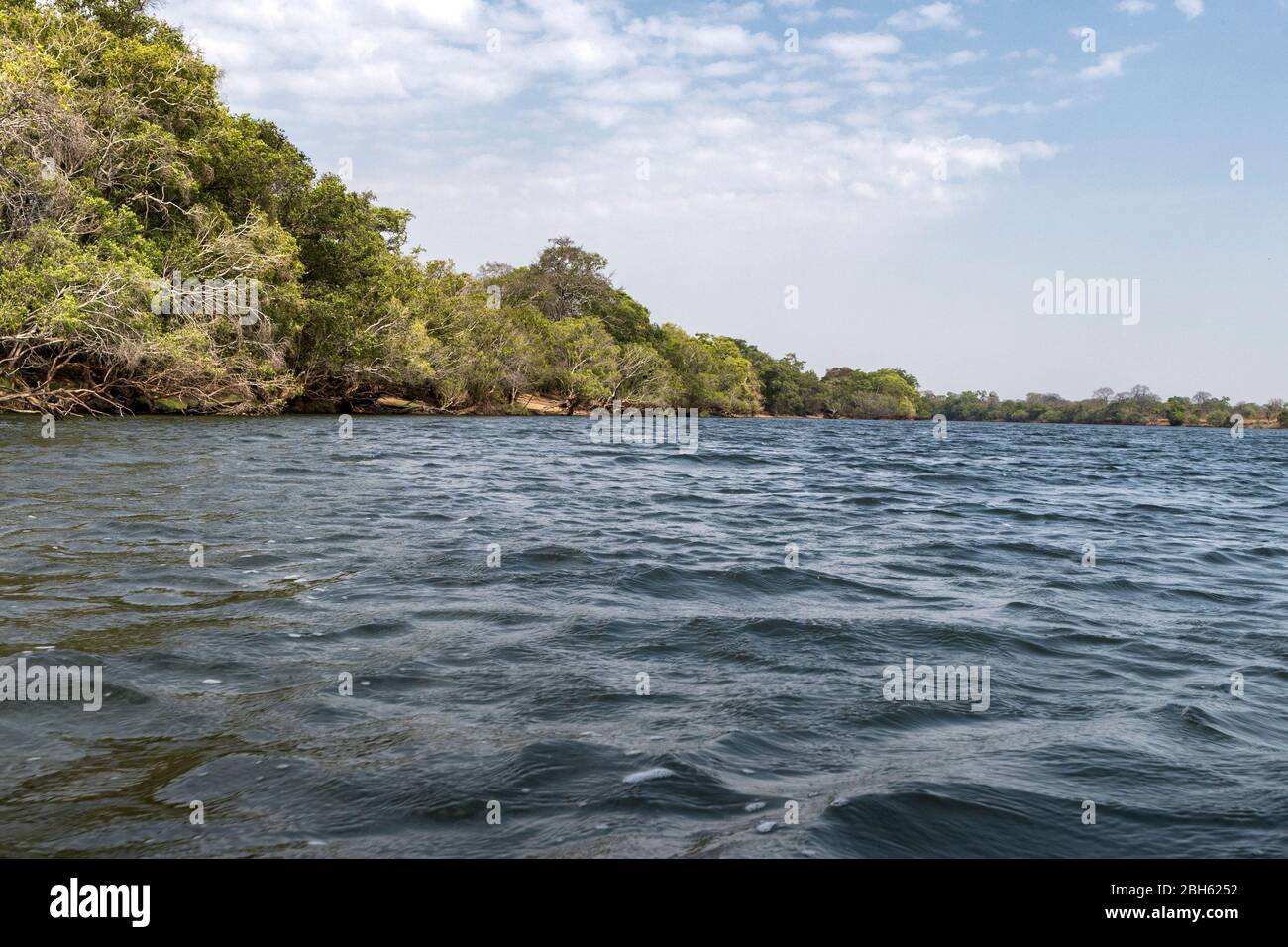 Landscape, Kafue River, Kafue National Park, Zambia, Africa Stock Photo ...