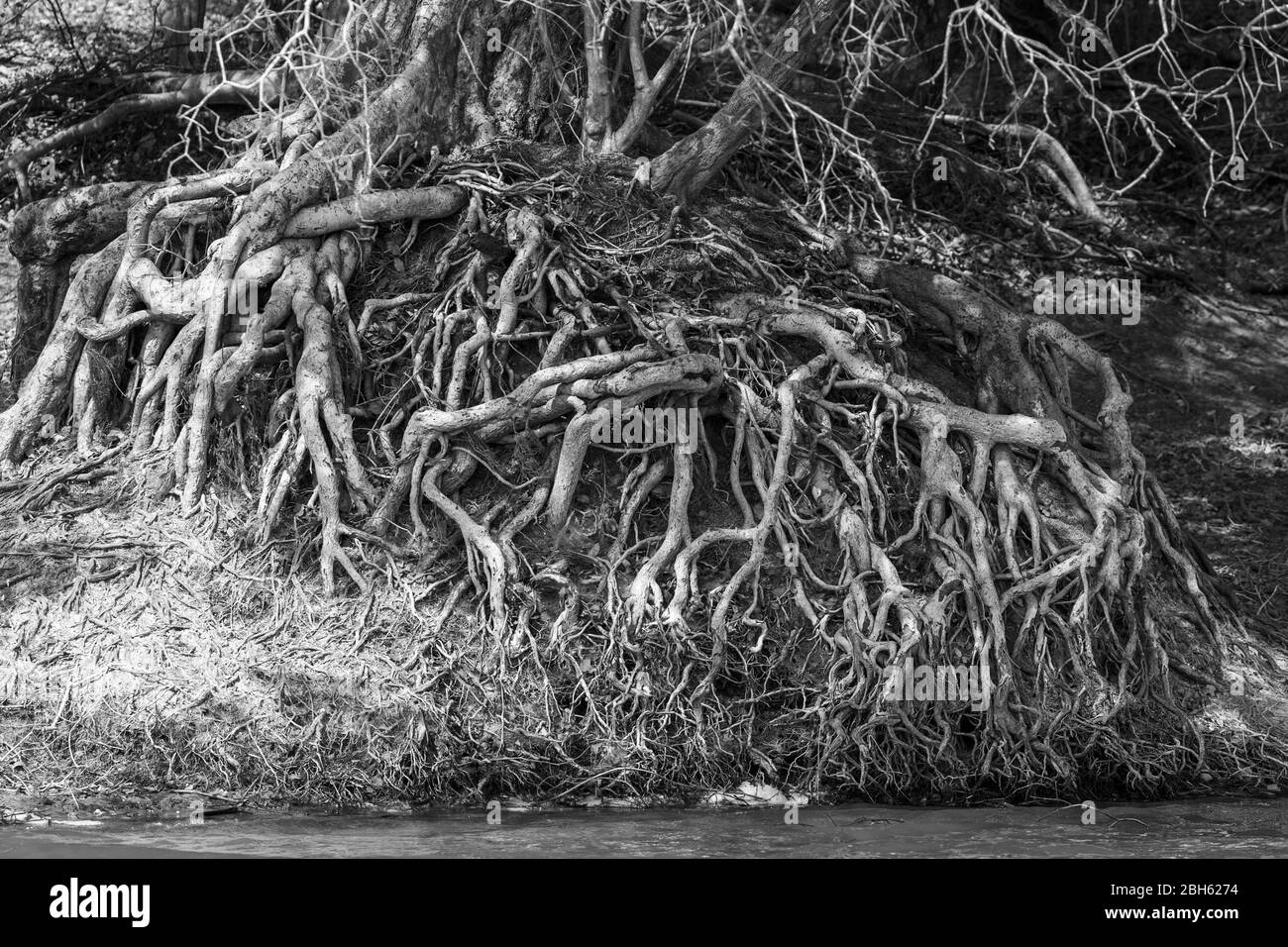 Cross labyrinth Black and White Stock Photos & Images - Alamy