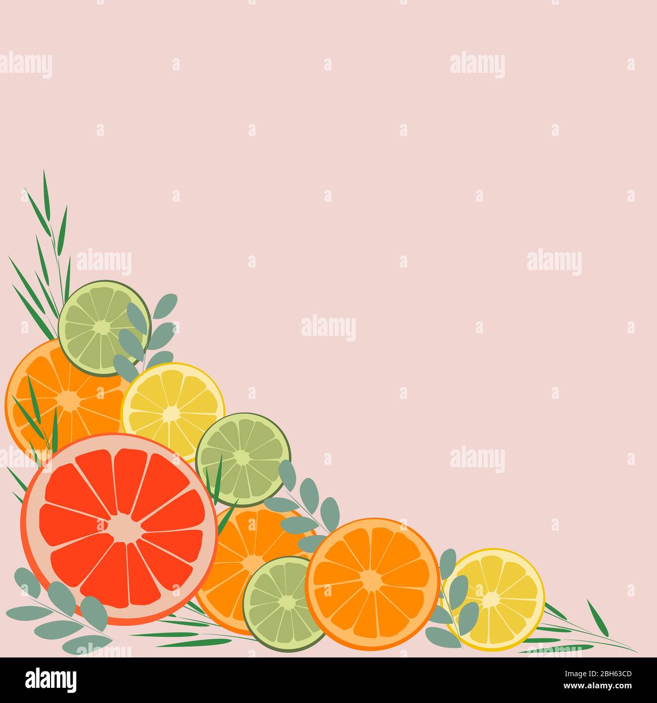 Vector image of a corner of the frame of the citrus. For decoration of ...
