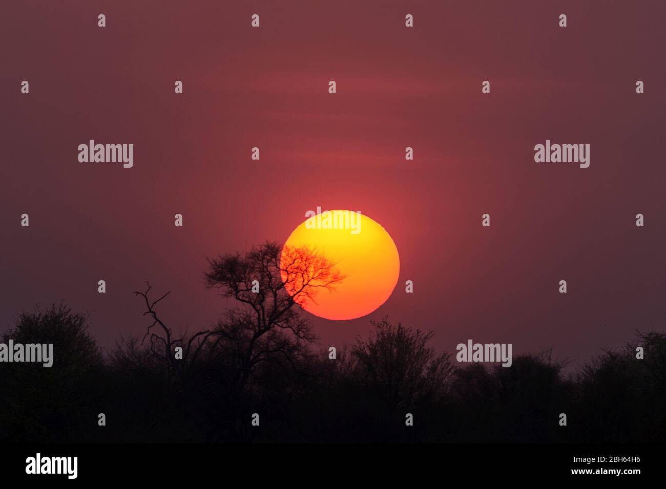 Sunset landscape, Okovango River, Caprivi Strip, Namibia, Africa Stock ...