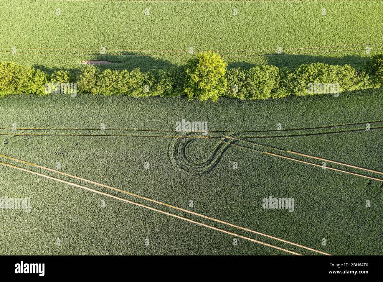 Hedge aerial hi-res stock photography and images - Alamy