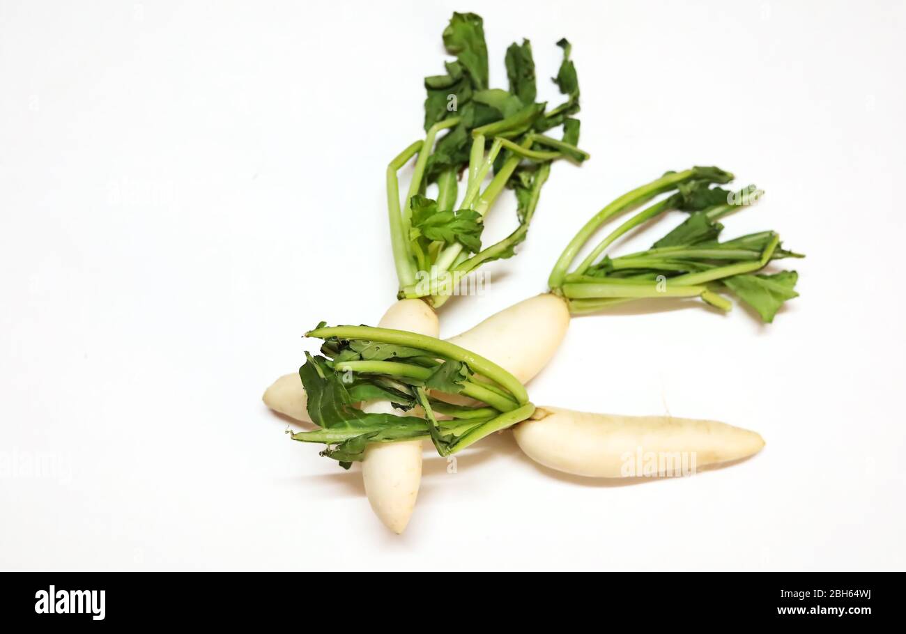fresh white radish isolated on white backgrounds Stock Photo - Alamy