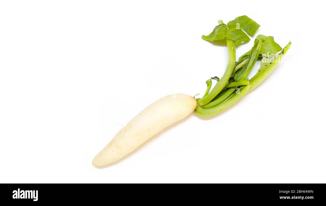 fresh white radish isolated on white background Stock Photo - Alamy