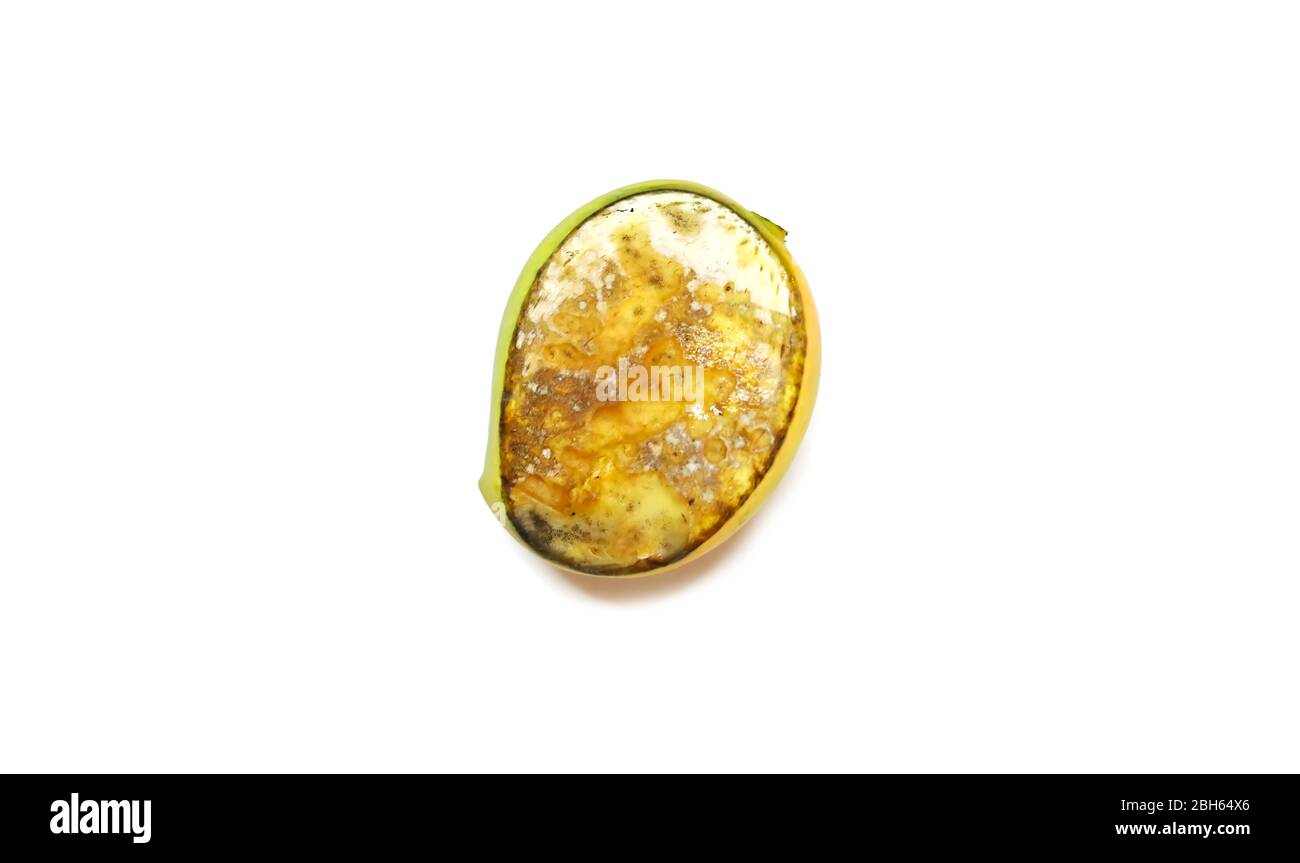 Rot sliced mango path isolated White backgrounds Stock Photo - Alamy