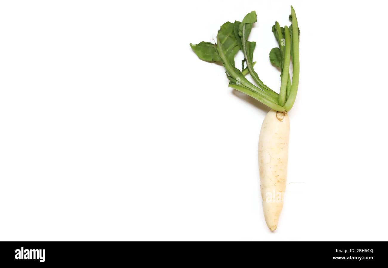 fresh white radish isolated on white background Stock Photo - Alamy