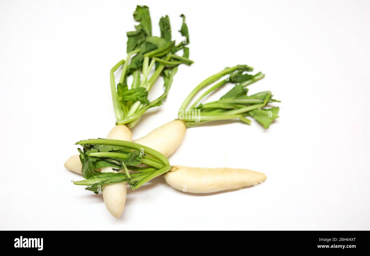 fresh white radish isolated on white background Stock Photo - Alamy