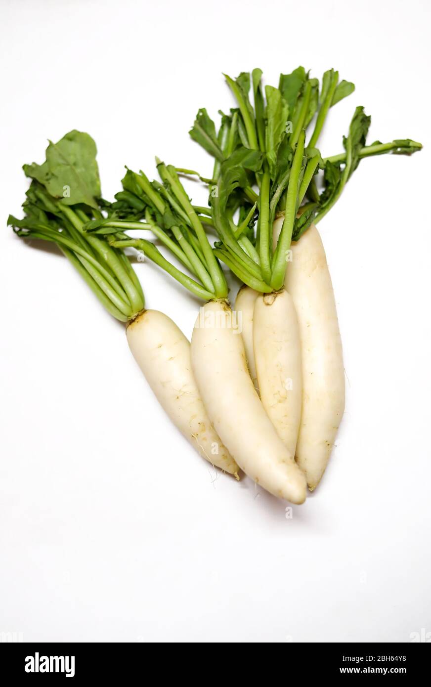 fresh white radish isolated on white backgrounds Stock Photo - Alamy