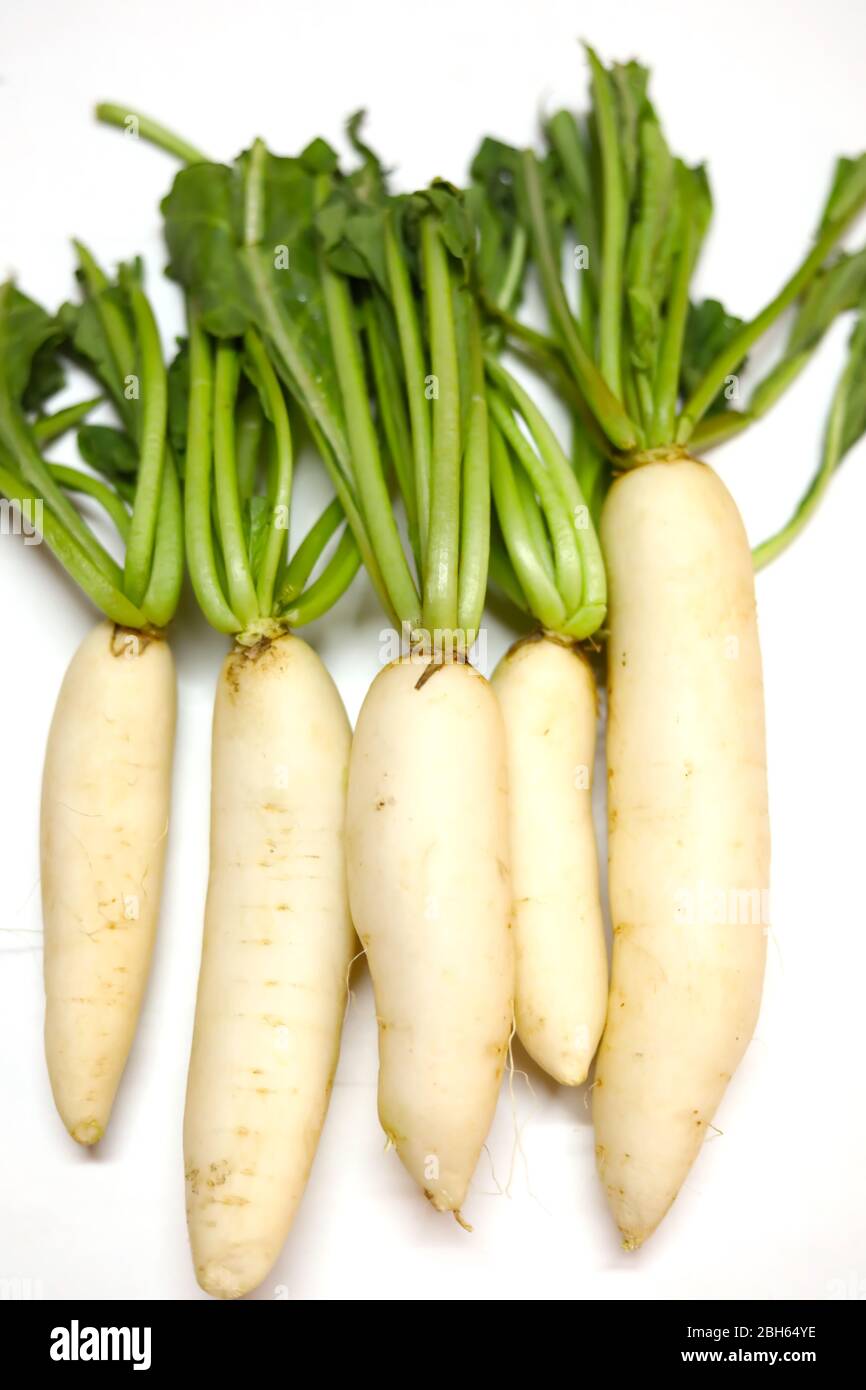 fresh white radish isolated on white backgrounds Stock Photo - Alamy