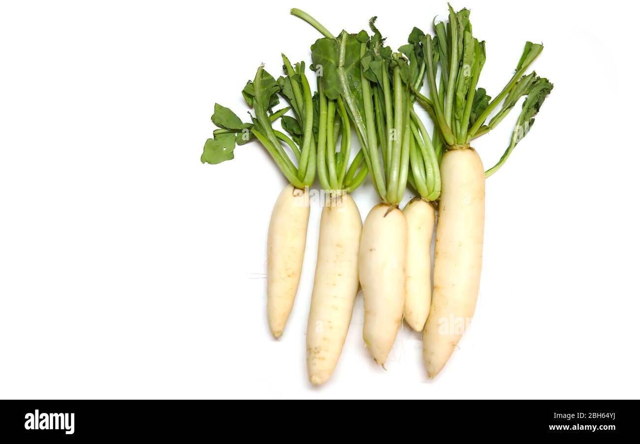 fresh white radish isolated on white backgrounds Stock Photo - Alamy