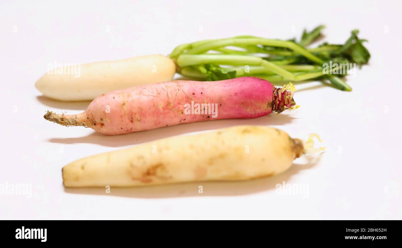 Different types of radish are isolated on a white backgrounds Stock ...